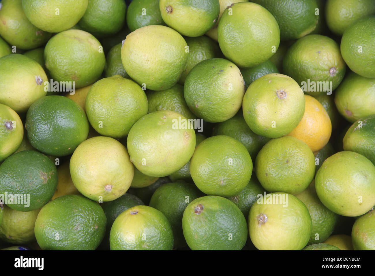 Handewitt, Germany, limes in a shop window Stock Photo - Alamy