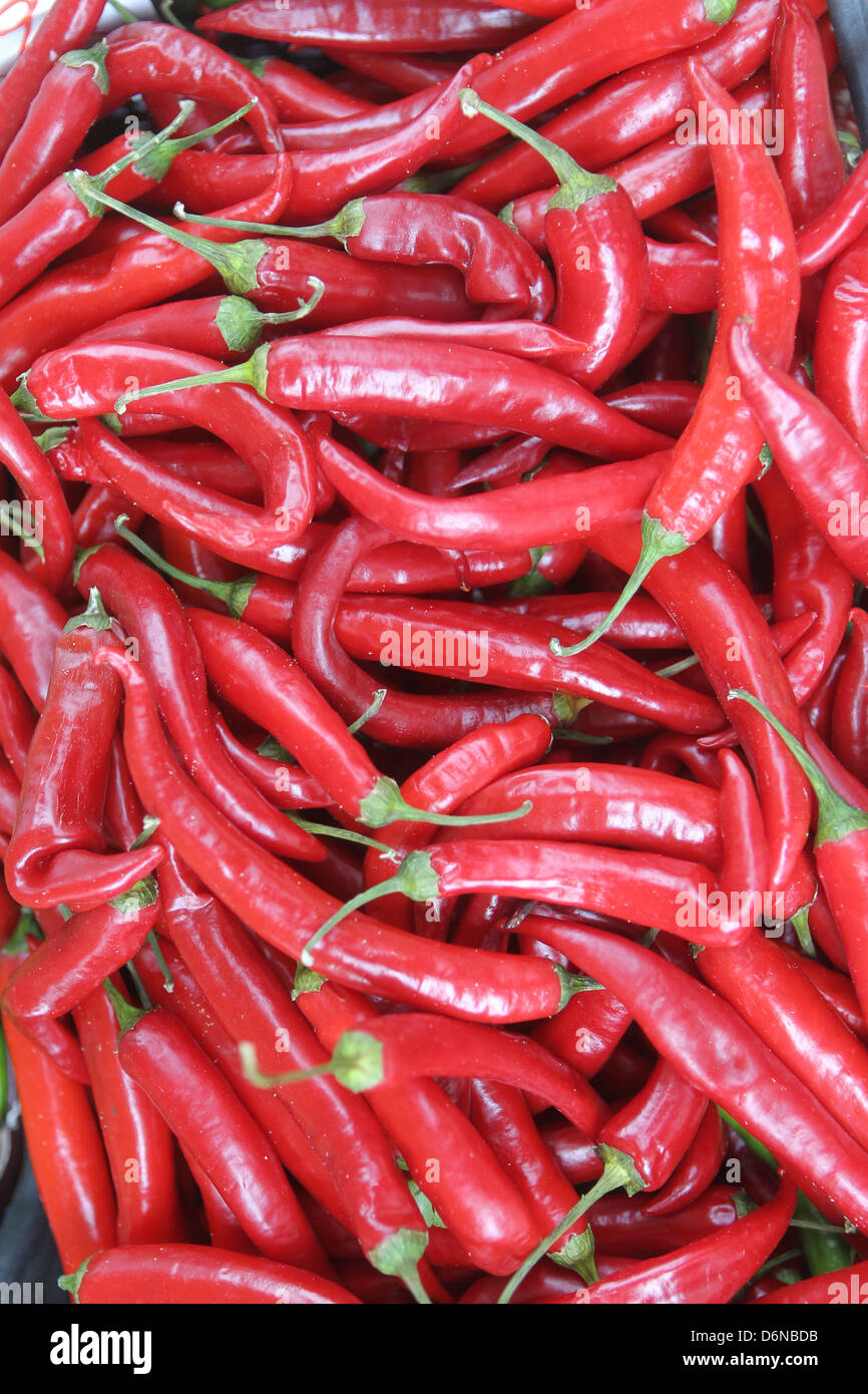Handewitt, Germany, hot peppers in a display Stock Photo - Alamy