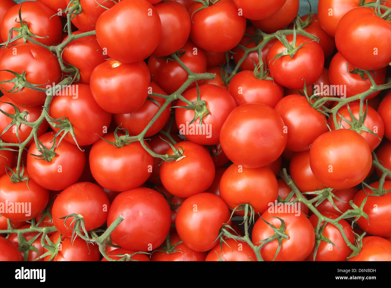 Handewitt, Germany, tomatoes in a display Stock Photo - Alamy