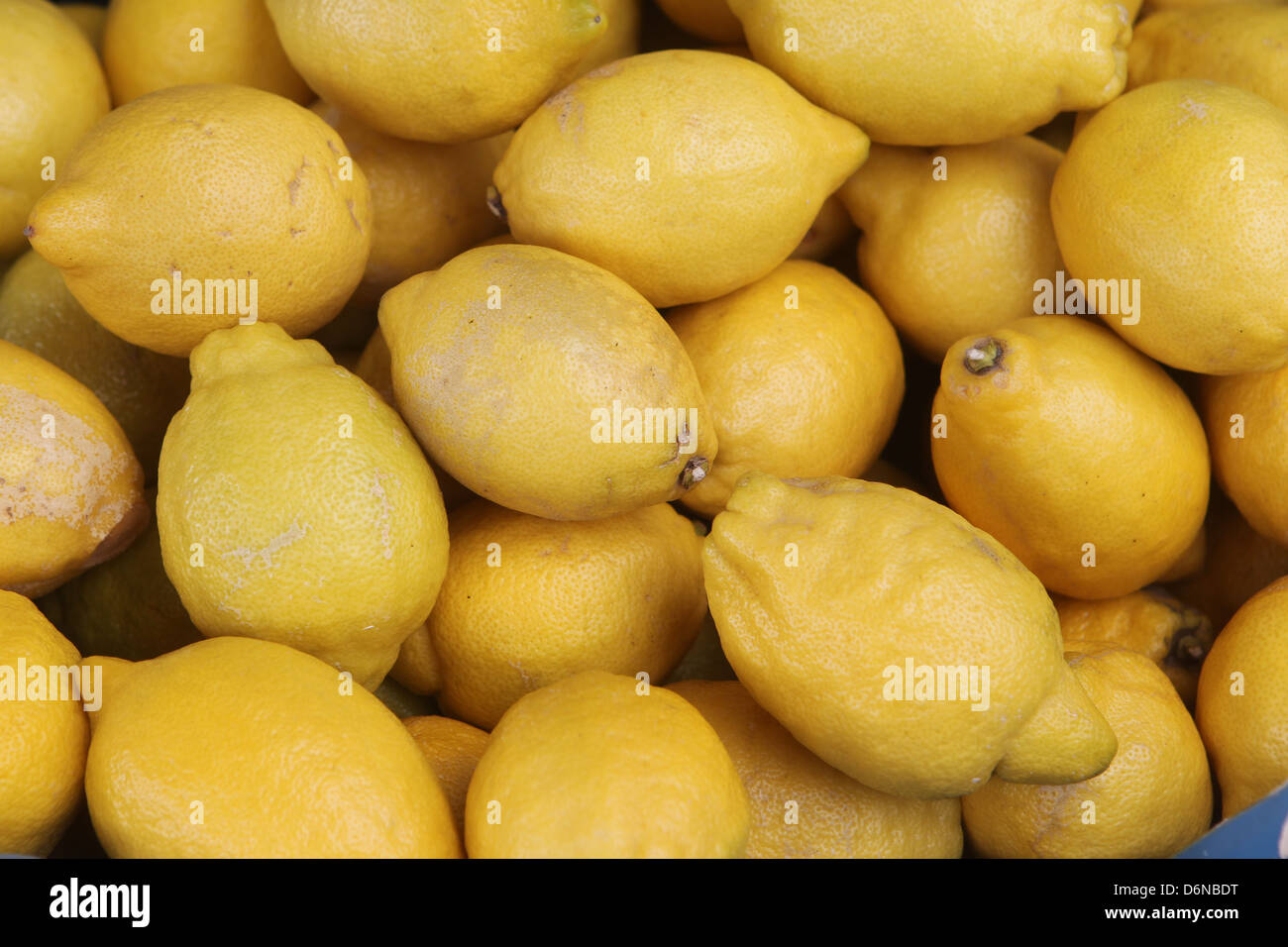 Handewitt, Germany, lemons in a shop window Stock Photo - Alamy