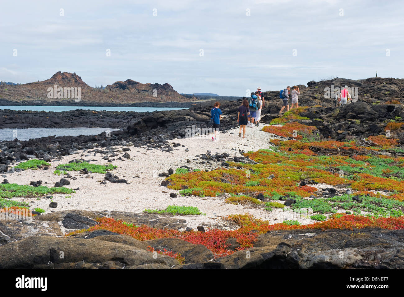 tourists on a walking tour, Isla Santa Cruz, Galapagos Islands, Unesco ...