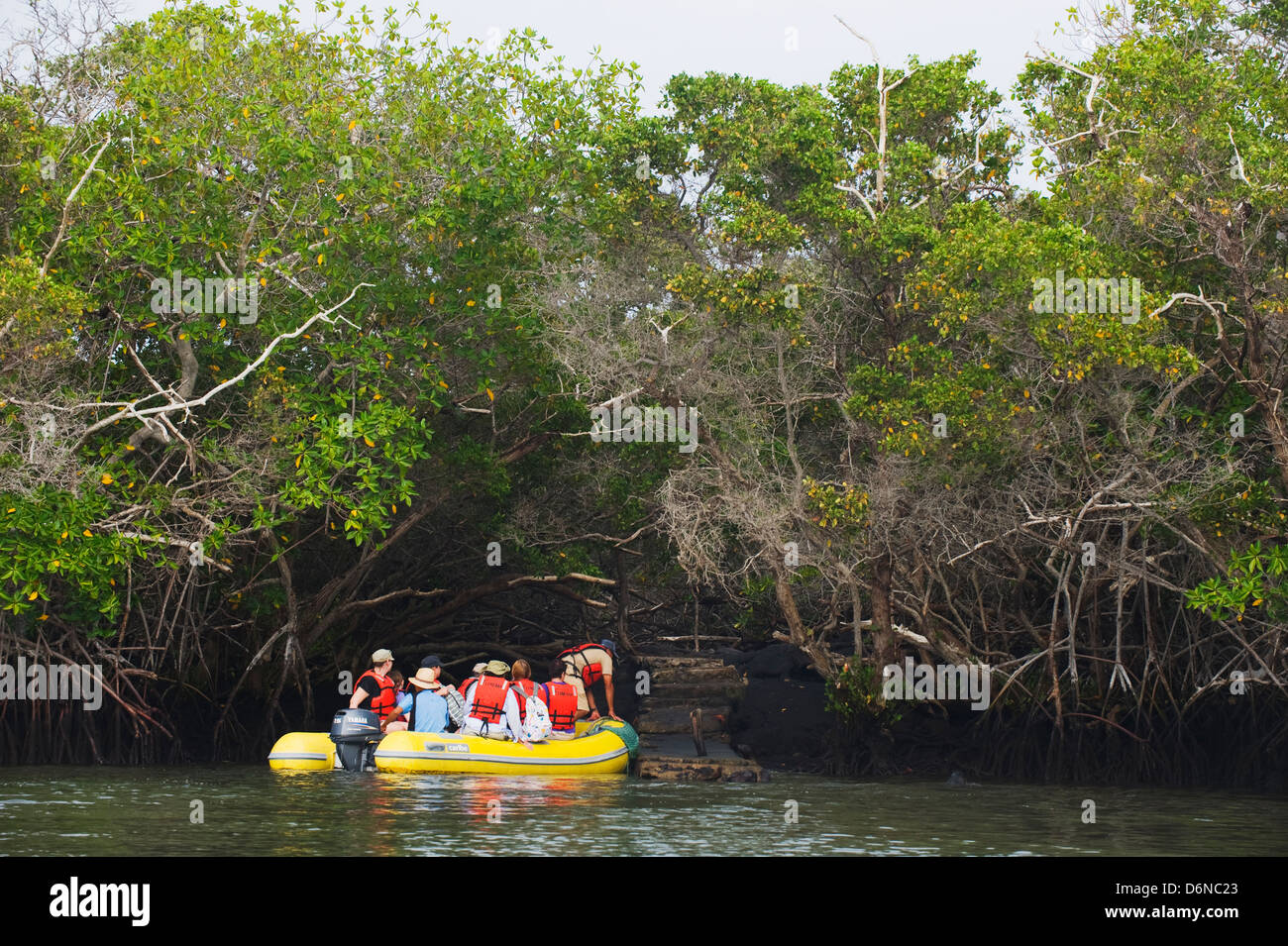 Isla Isabela, Galapagos Islands, Unesco site, Ecuador, South America ...
