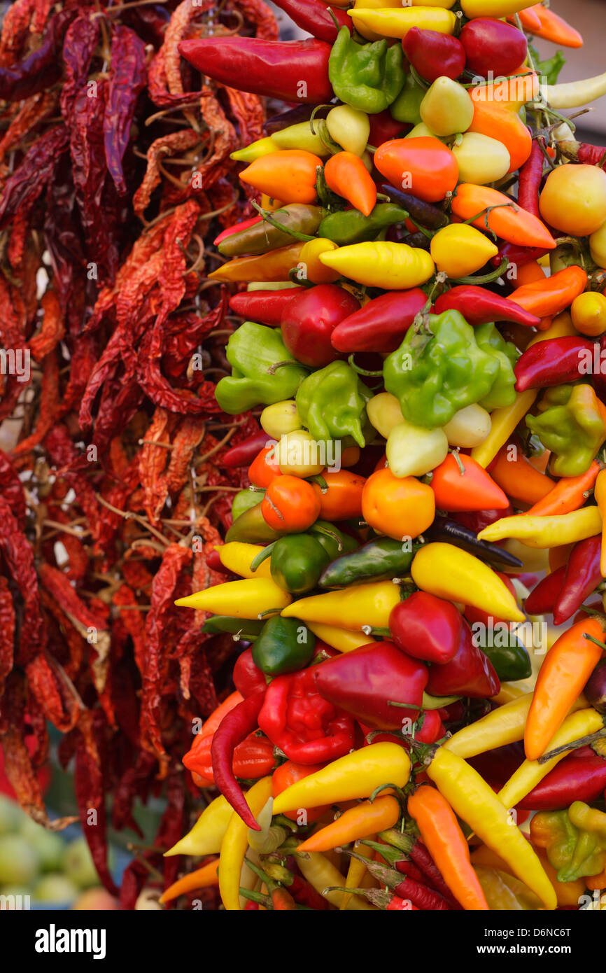Inca, Mallorca, Spain, peppers and dried chili peppers at a market ...