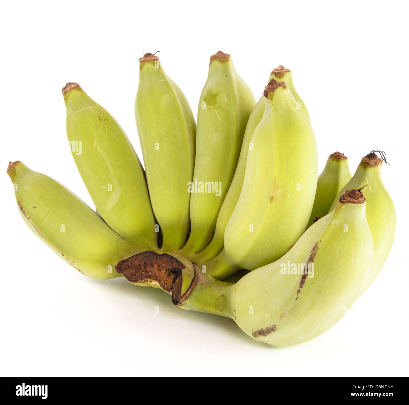 Bunch of raw banana isolated on white background Stock Photo - Alamy
