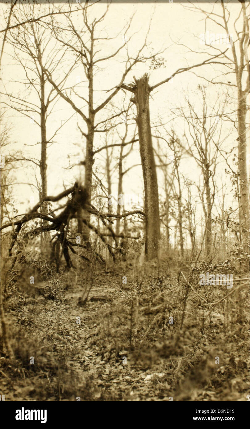 This photograph captures an important moment during World War I, taken ...