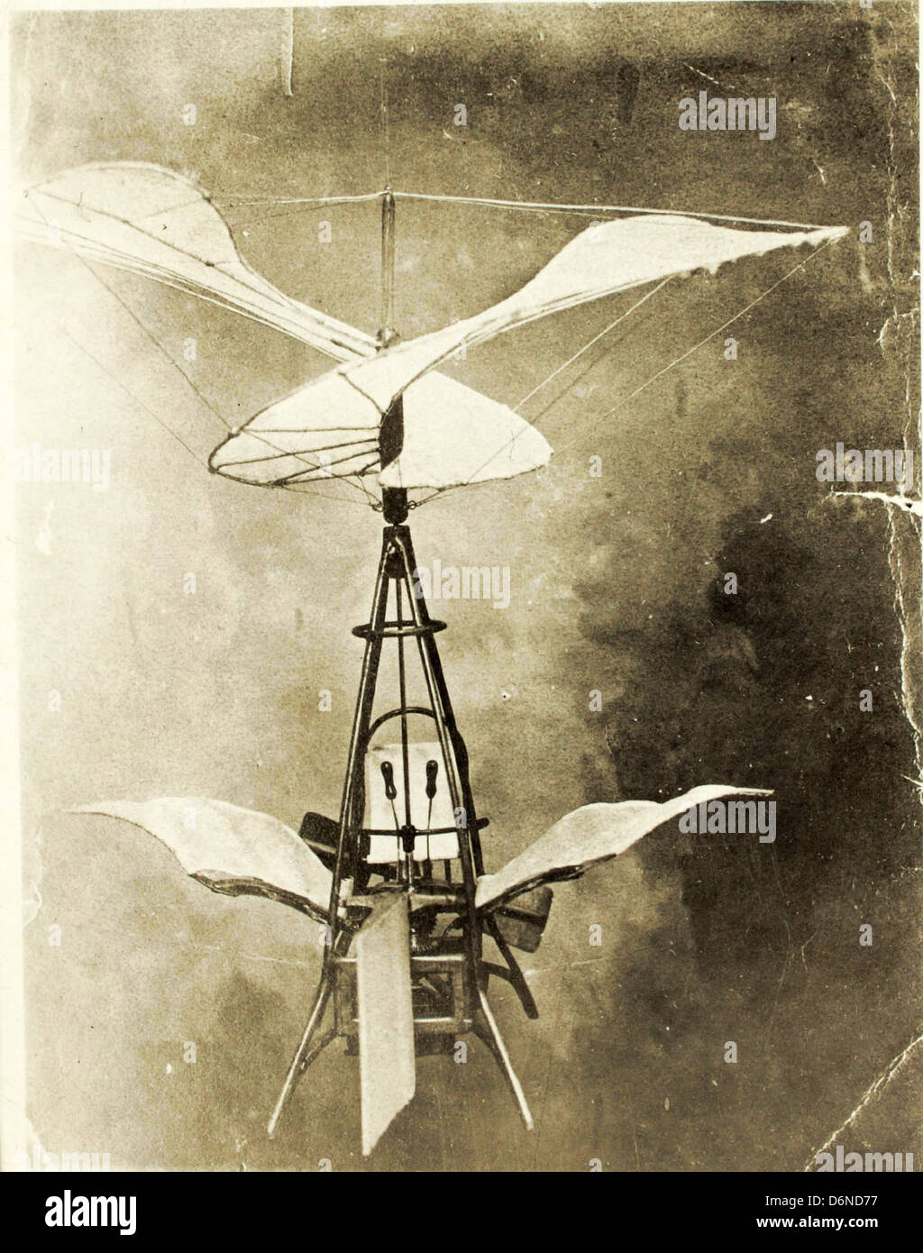 Heliotype hi-res stock photography and images - Alamy