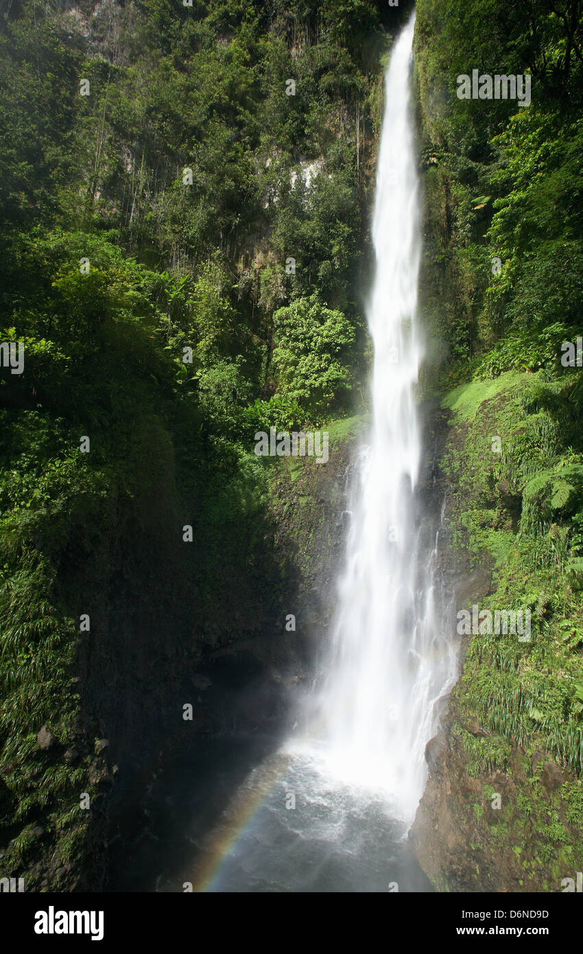 Middleham falls dominica hi-res stock photography and images - Alamy