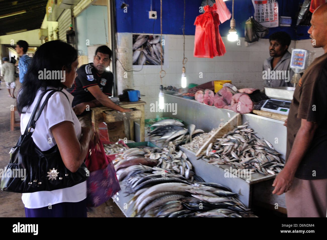 Fish Shop Display Stock Photos & Fish Shop Display Stock Images - Alamy