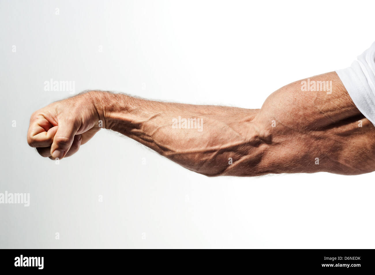 Hamburg, Germany, the arm of a bodybuilder Stock Photo - Alamy