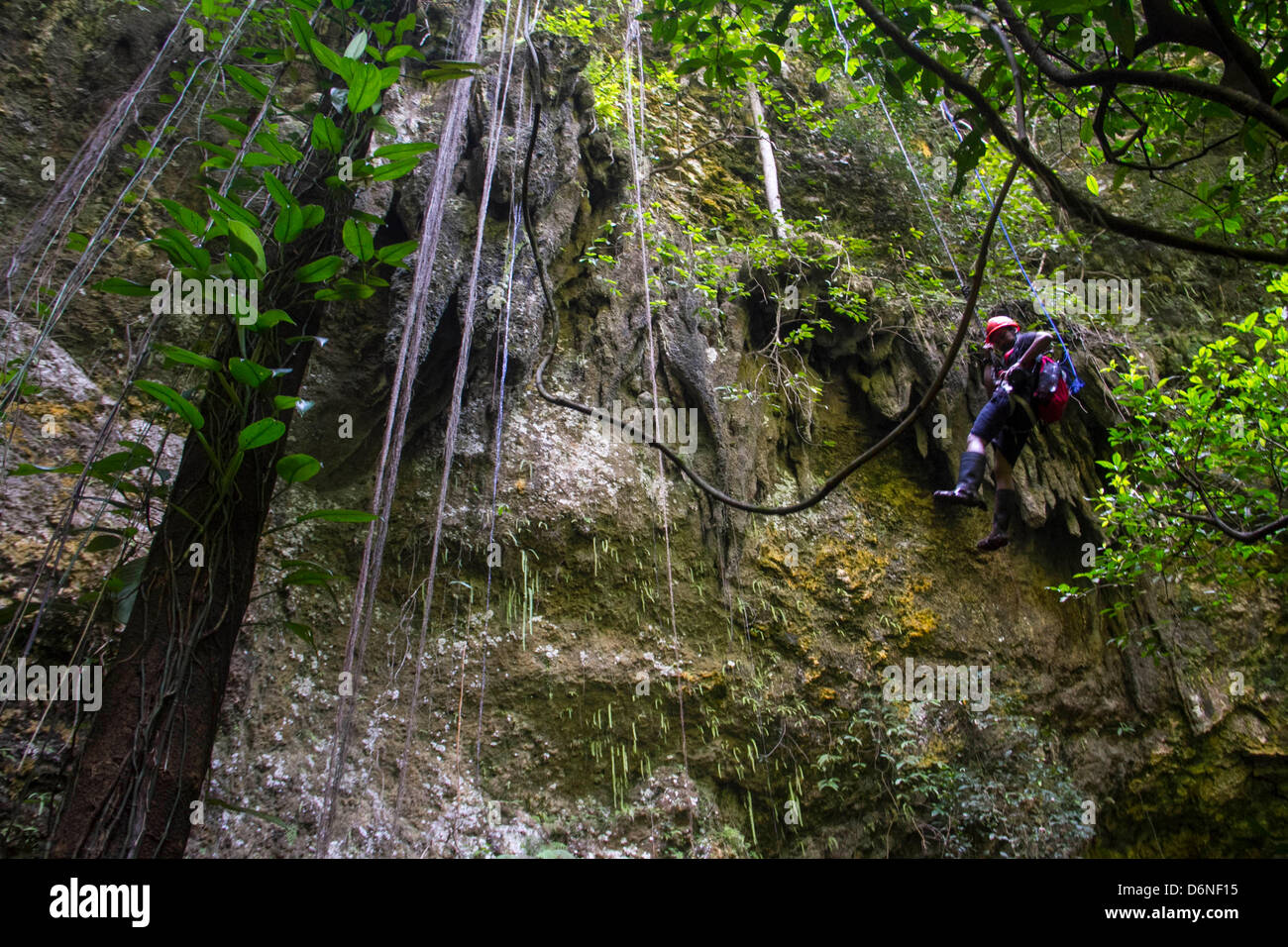 Climbing a beam hi-res stock photography and images - Alamy