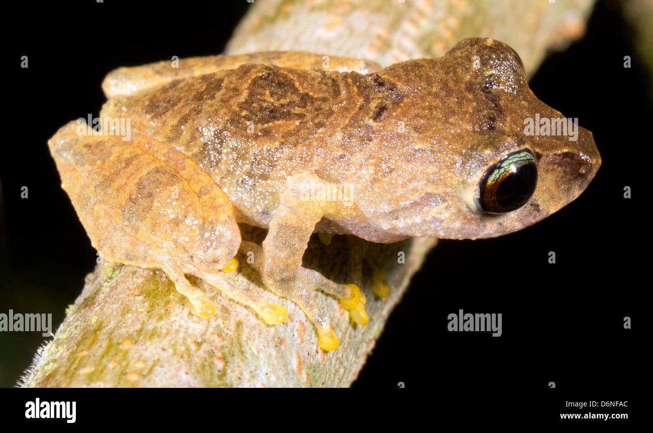 Librarian hi-res stock photography and images - Alamy