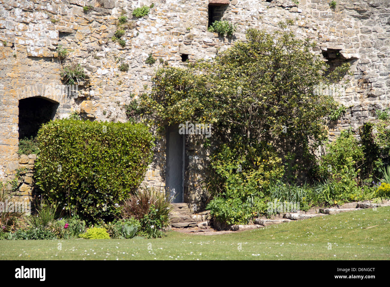 Trees and shrubs growing in the grounds of a castle Stock Photo - Alamy
