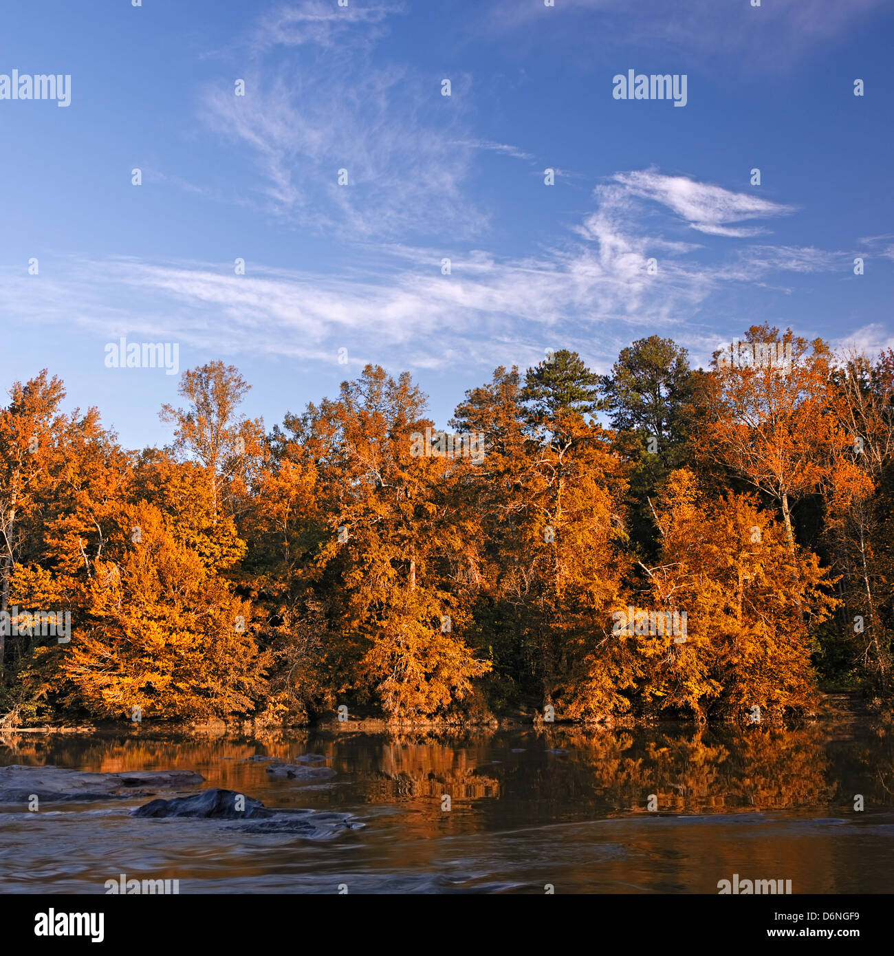 Beautiful fall colors forest reflected in river Stock Photo - Alamy