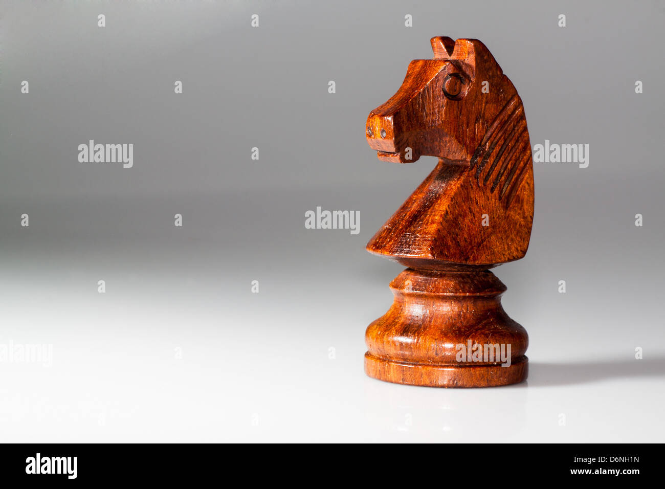 Knight Chess Piece Stock Photos & Knight Chess Piece Stock Images - Alamy