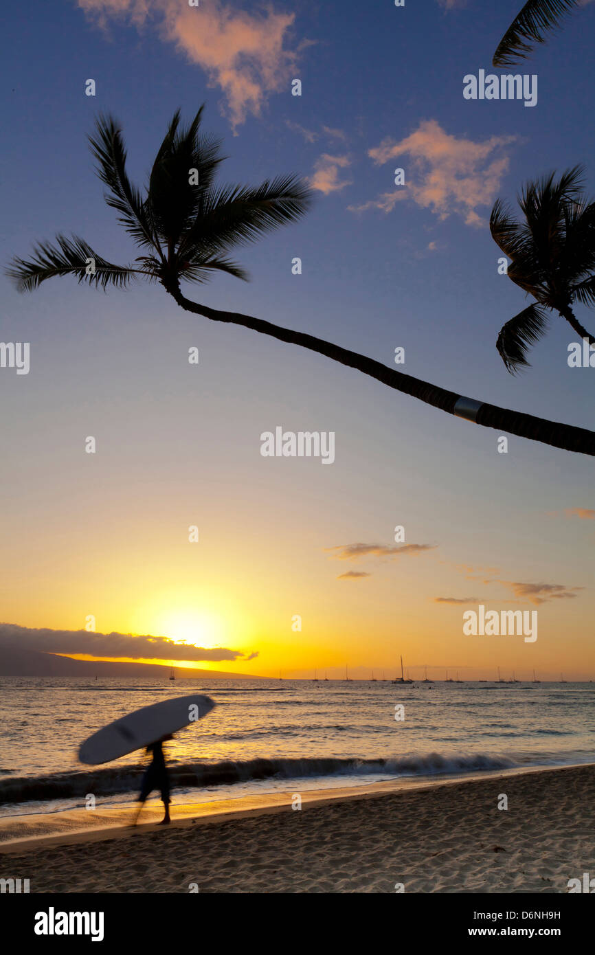 Surfing sunset beach hawaii hi-res stock photography and images - Alamy