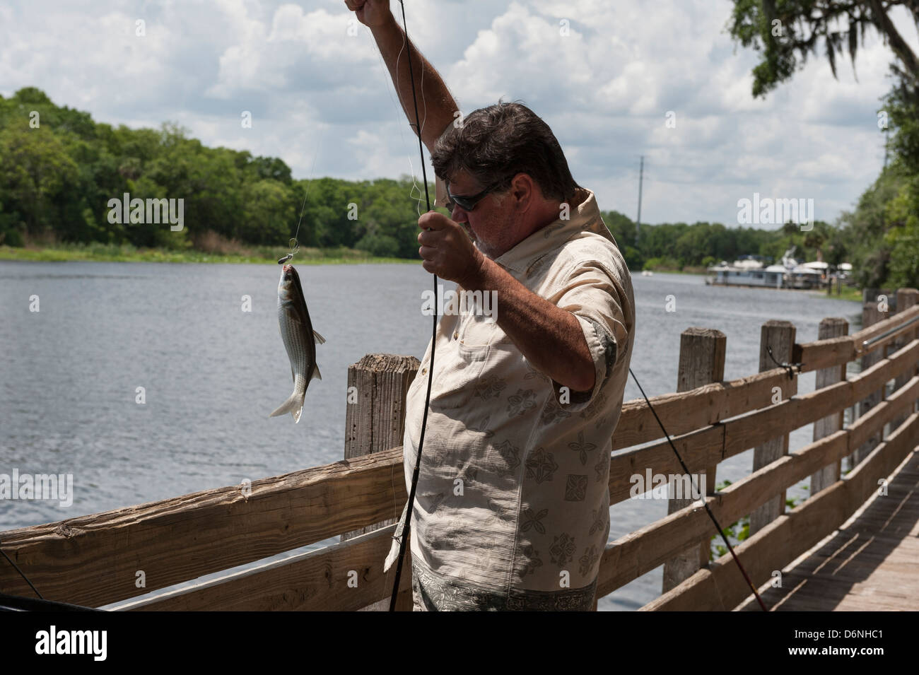 Black Mullet Stock Photos & Black Mullet Stock Images - Alamy