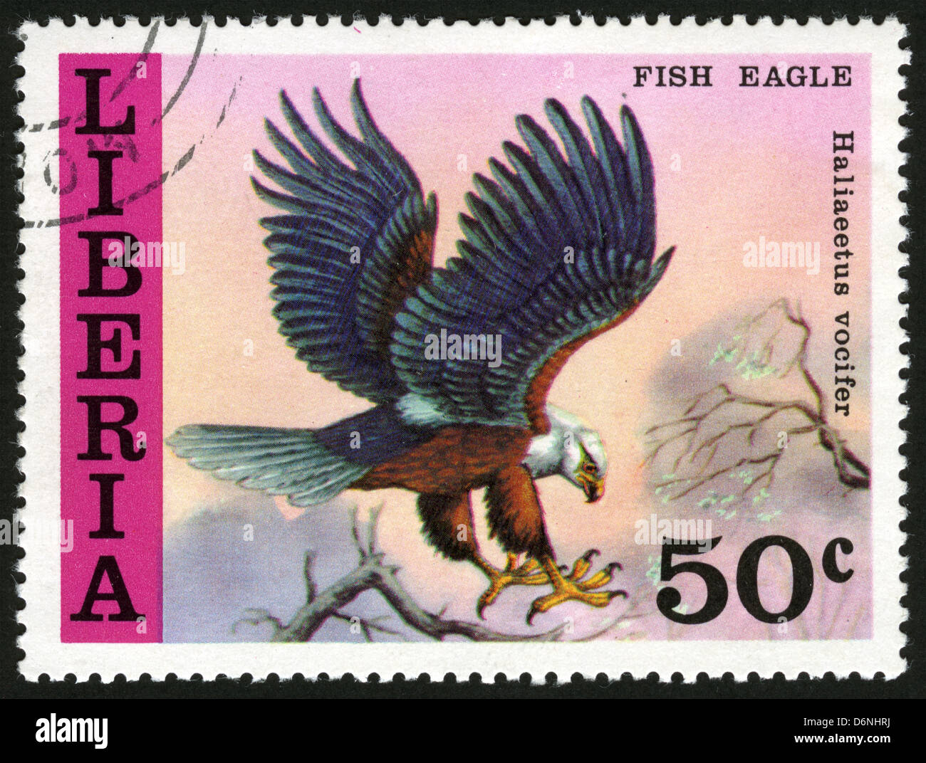 Liberia bird hi-res stock photography and images - Alamy