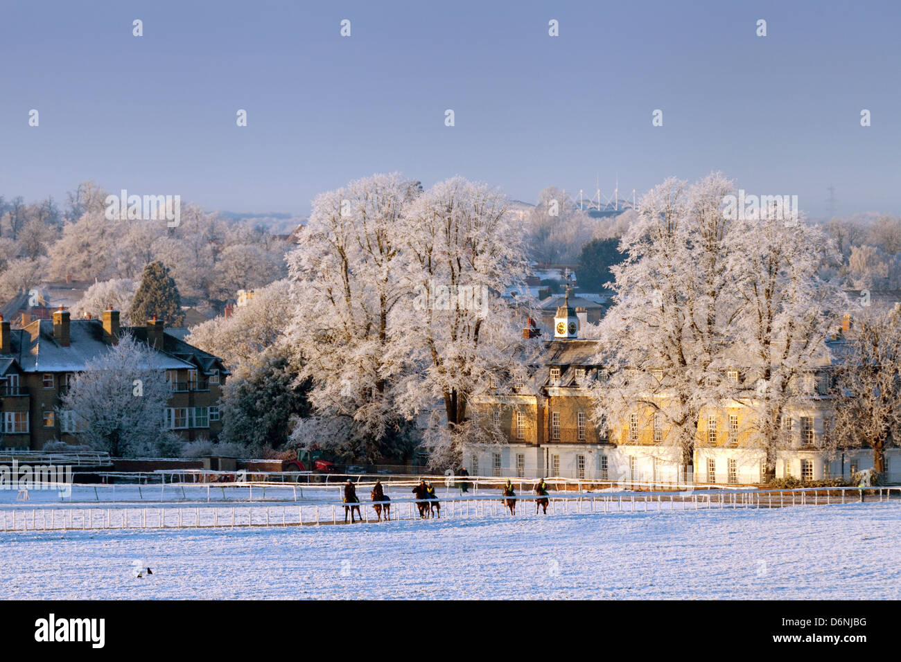 Warren hill newmarket hi-res stock photography and images - Alamy