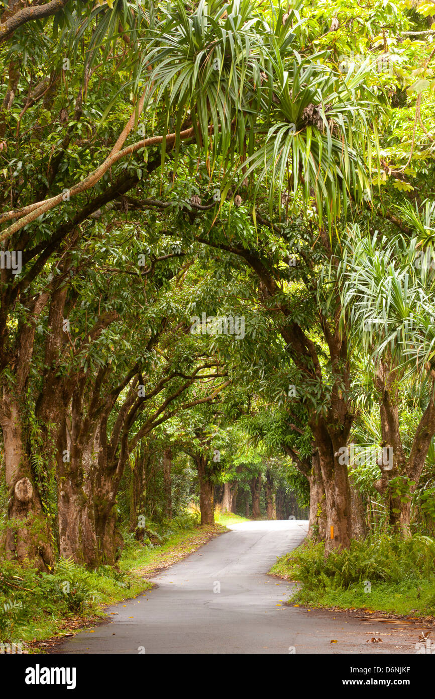 Puna hawaii hi-res stock photography and images - Alamy