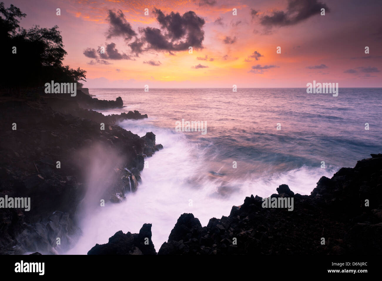 MacKenzie State Recreation Area, Big Island, Hawaii Stock Photo - Alamy