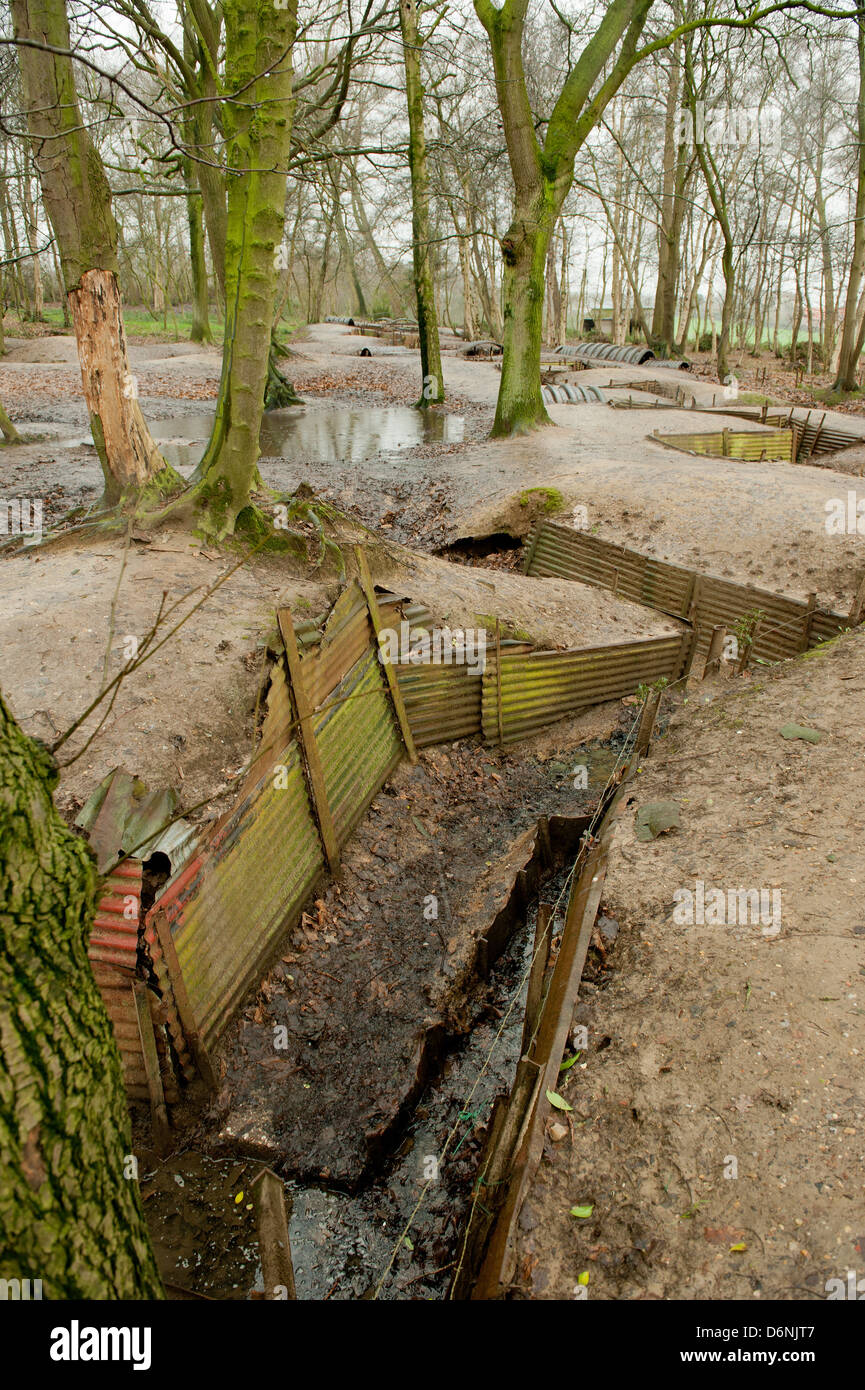 The World War One trench system at Sanctuary Wood near Ypres in Belgium ...