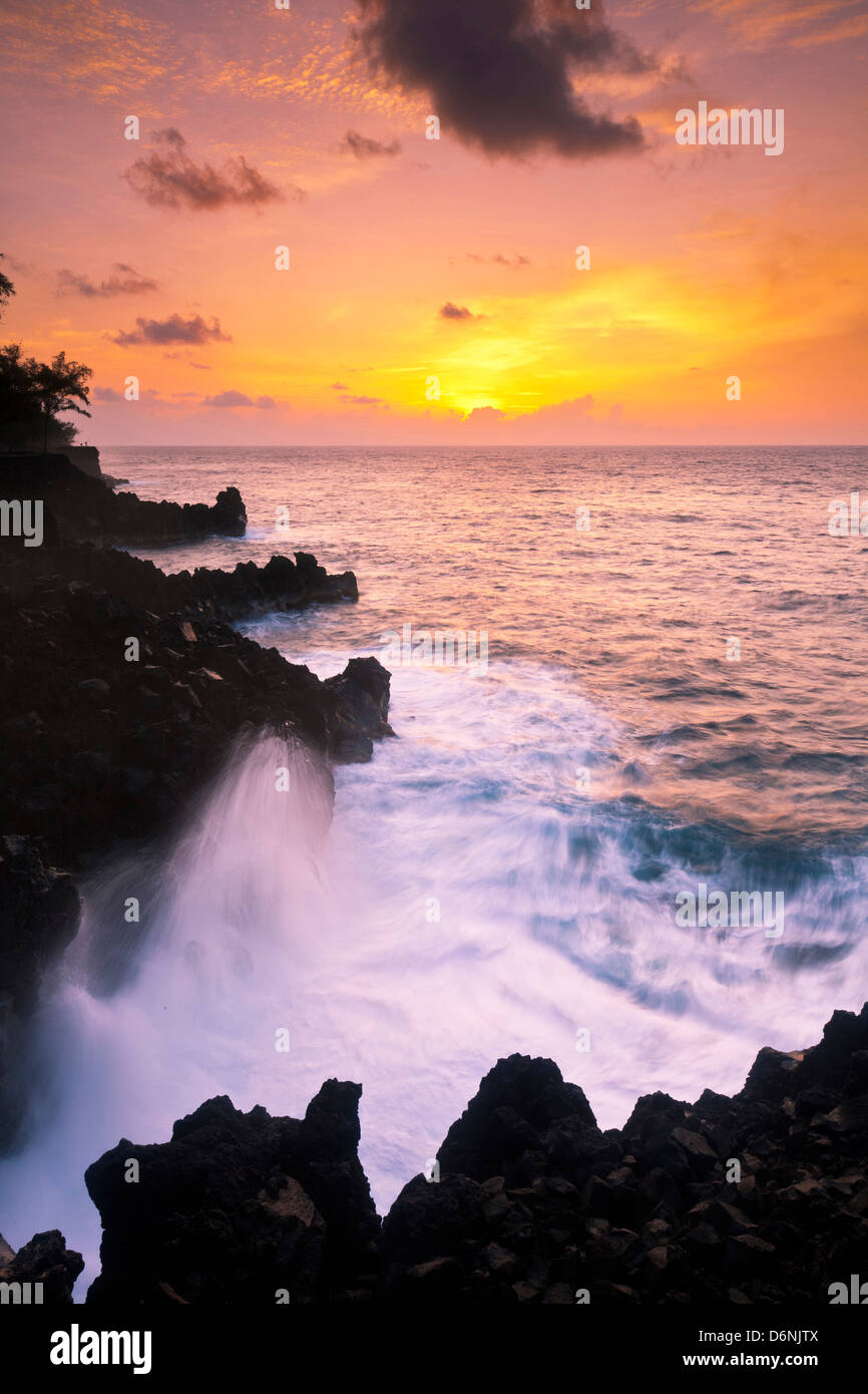MacKenzie State Recreation Area, Big Island, Hawaii Stock Photo - Alamy
