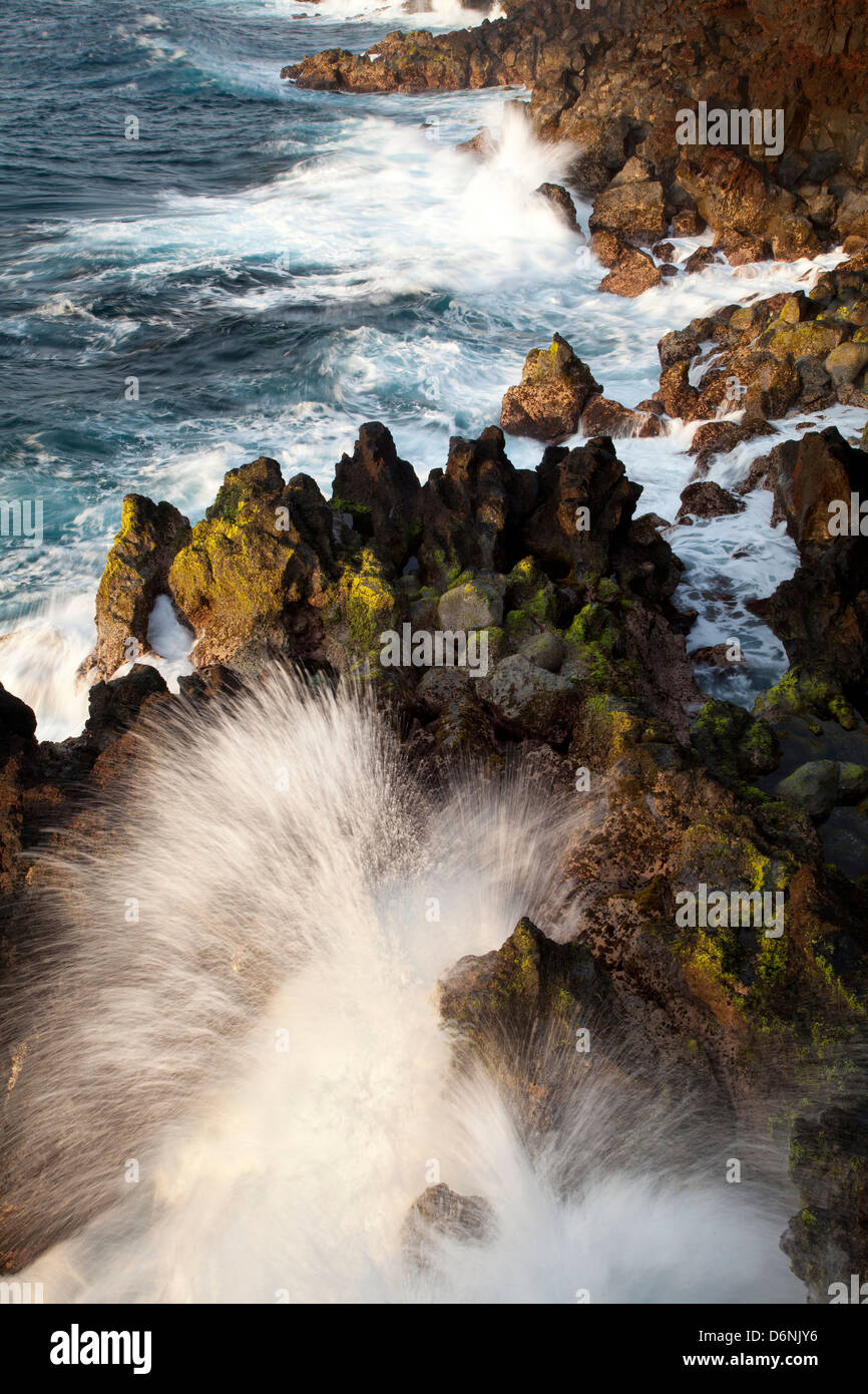Mackenzie state recreation area hi-res stock photography and images - Alamy