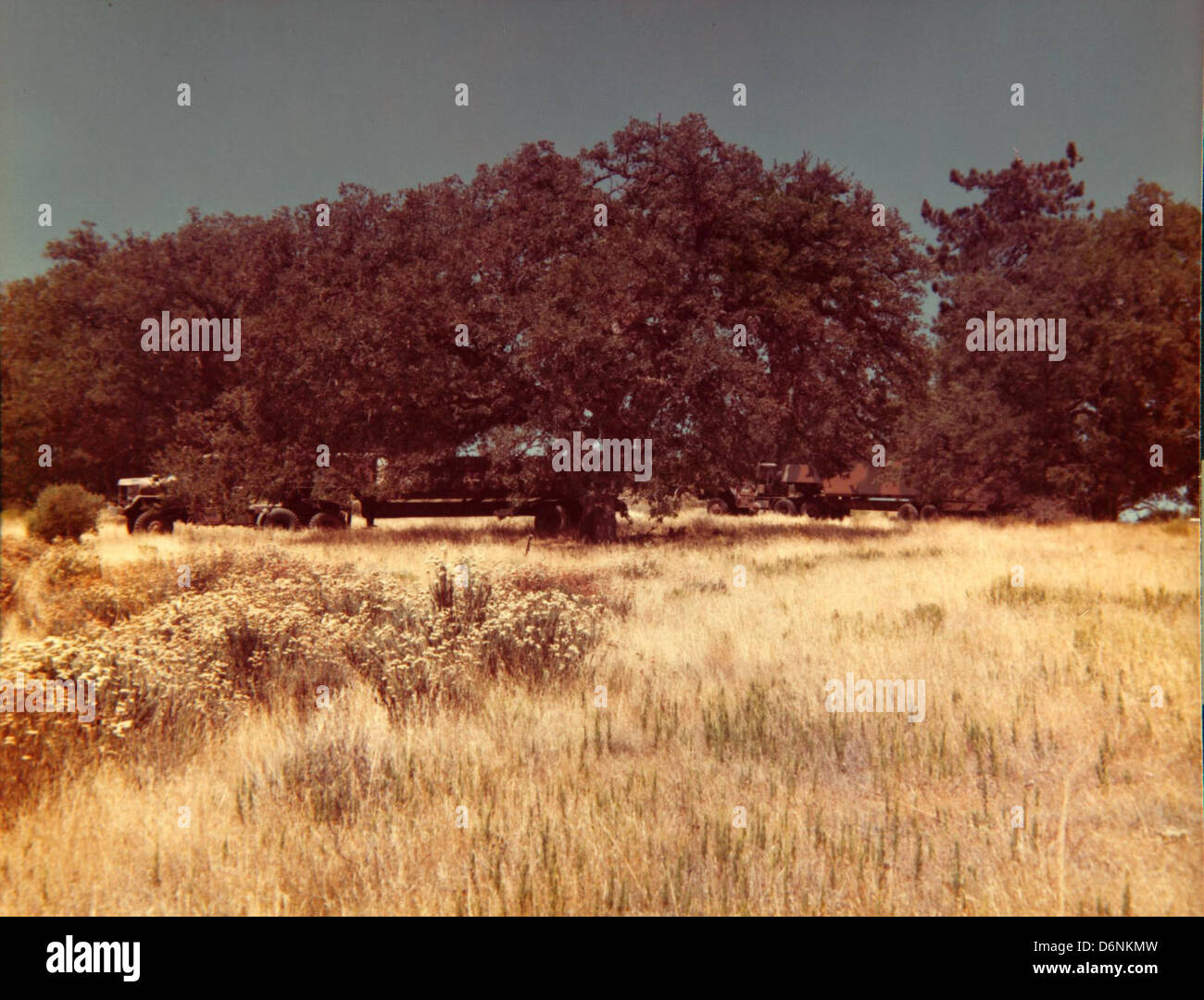 The Convair/General Dynamics Tomahawk cruise missile was a precision ...