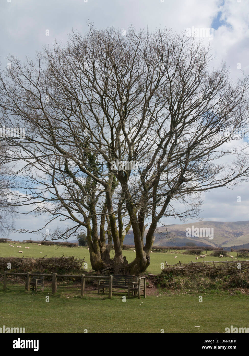 Views of the Brecon Beacons National Park in Wales, UK Stock Photo - Alamy