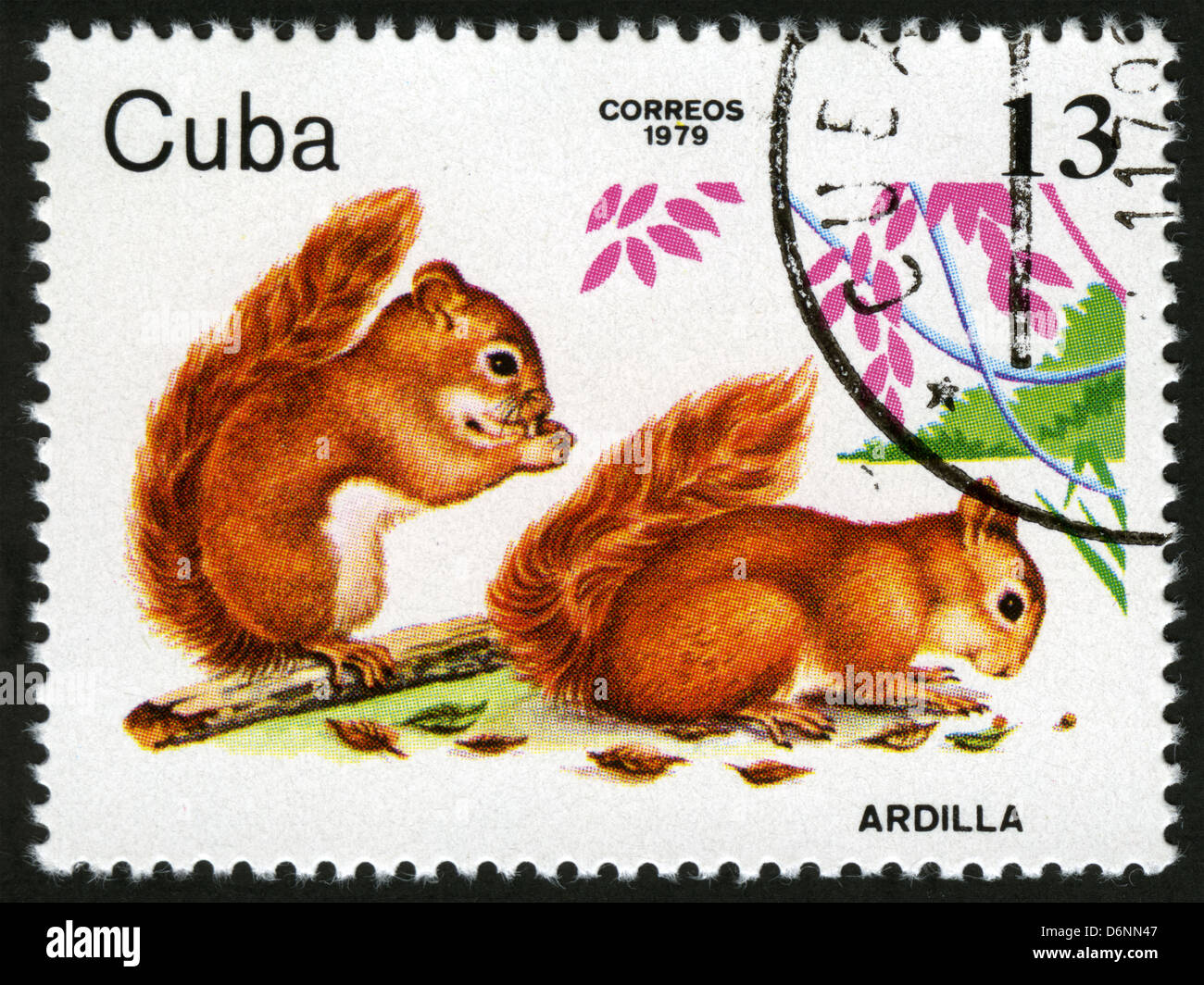 Squirrel images drawing hi-res stock photography and images - Alamy