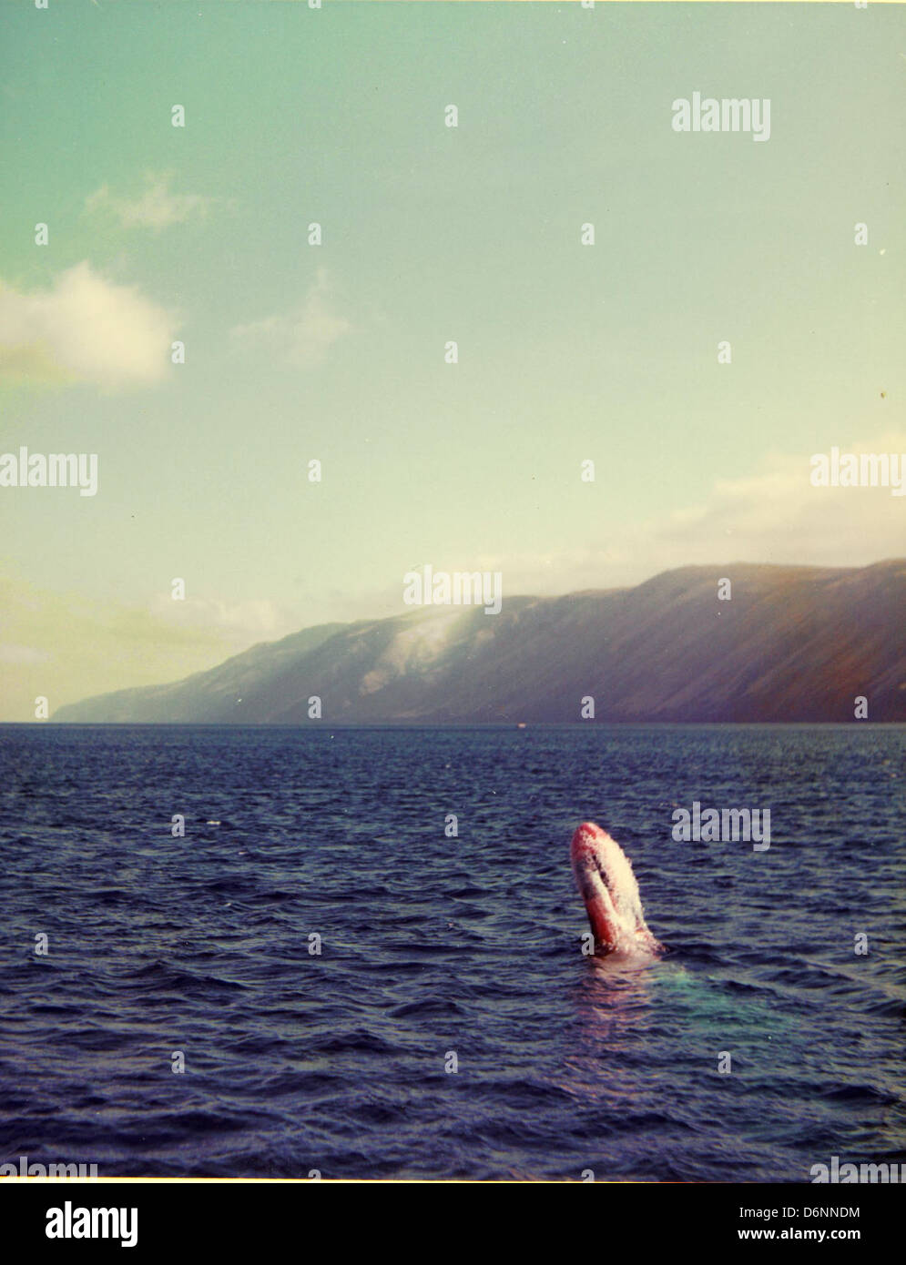 The Convair/General Dynamics Tomahawk missile, developed between 1970 ...