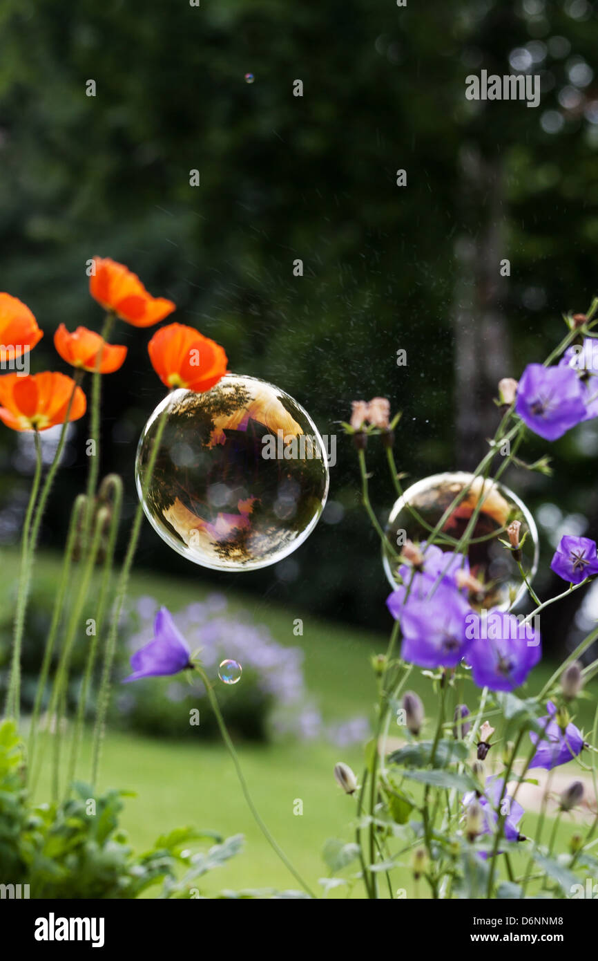 Berlin, Germany, soap bubbles floating in a garden Stock Photo - Alamy