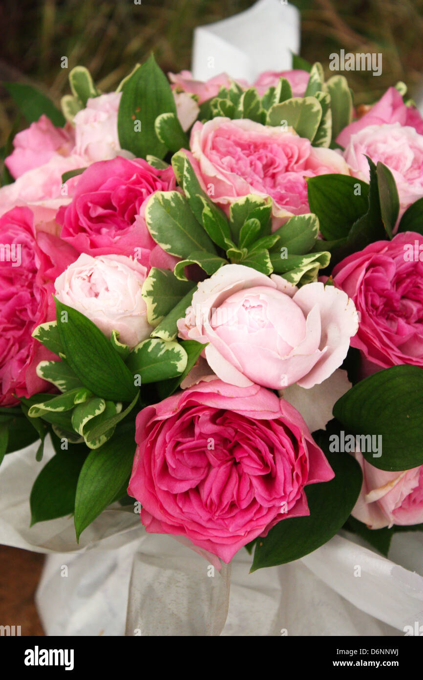 Colorful fresh flowers Stock Photo - Alamy
