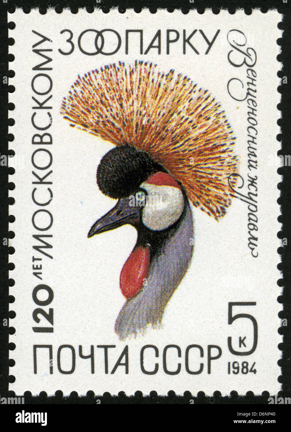 Crowned crane drawing hi-res stock photography and images - Alamy