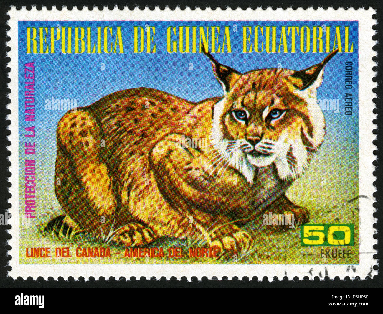 Equatorial fauna hi-res stock photography and images - Alamy