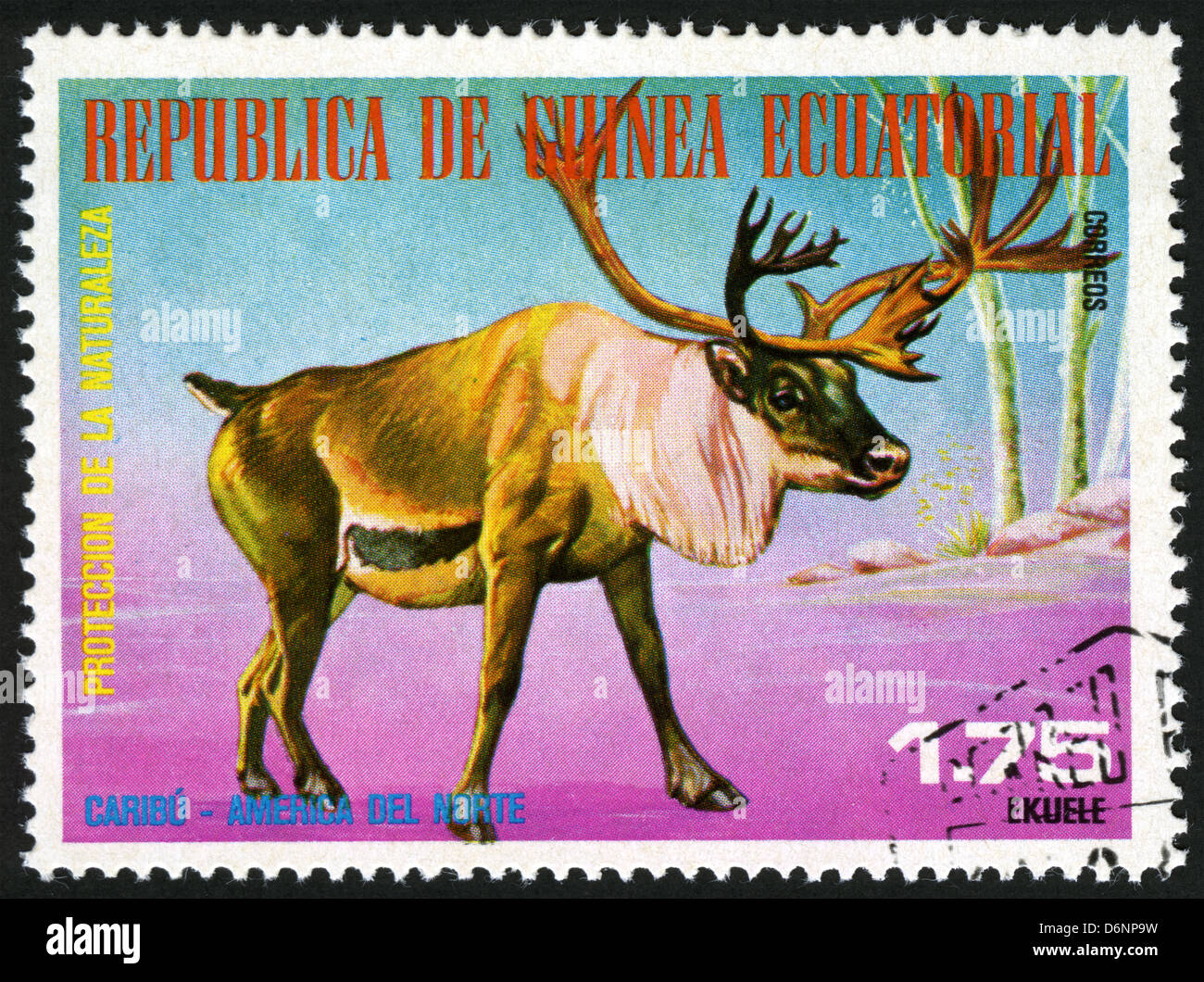 Equatorial fauna hi-res stock photography and images - Alamy