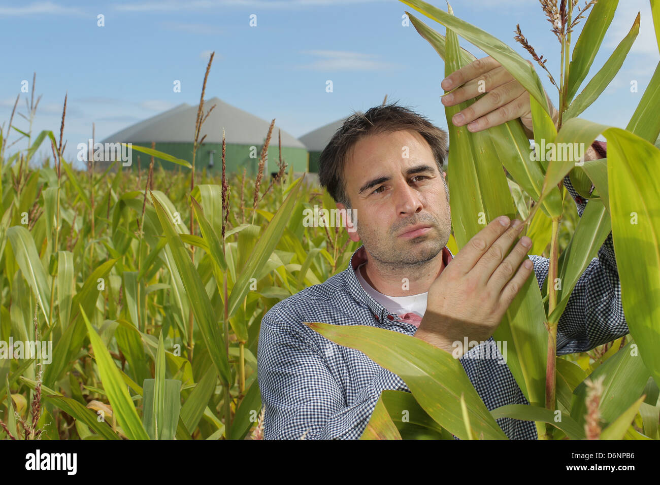 Biogas plants hi-res stock photography and images - Alamy