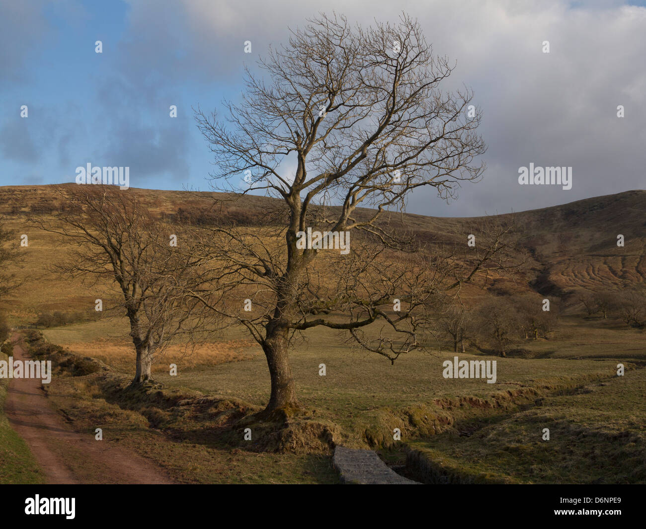 Views of the Brecon Beacons National Park in Wales, UK Stock Photo - Alamy