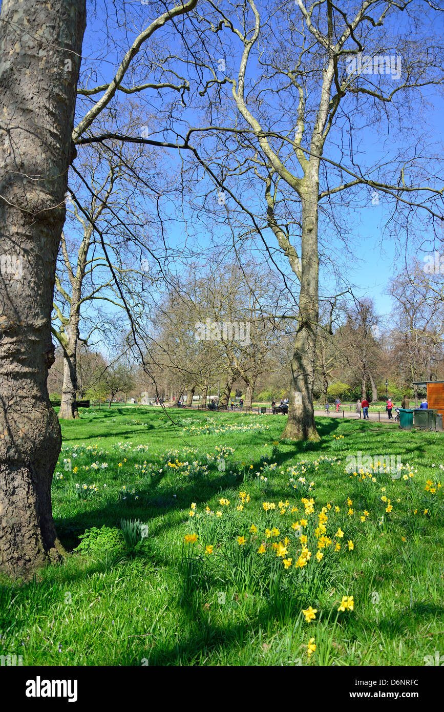 Trees in london city hi-res stock photography and images - Alamy