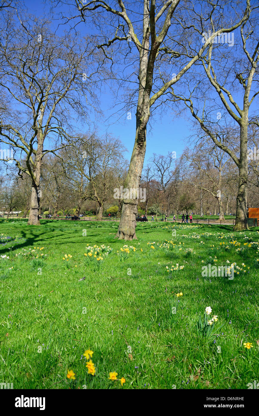 Central park spring flower bed hi-res stock photography and images - Alamy