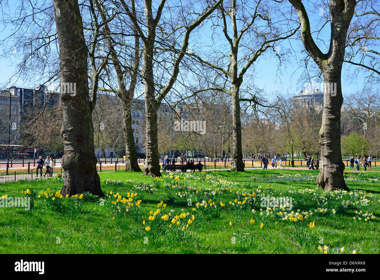 Trees in london city hi-res stock photography and images - Alamy
