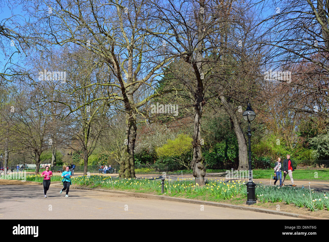 Hyde park london spring flowers hi-res stock photography and images - Alamy