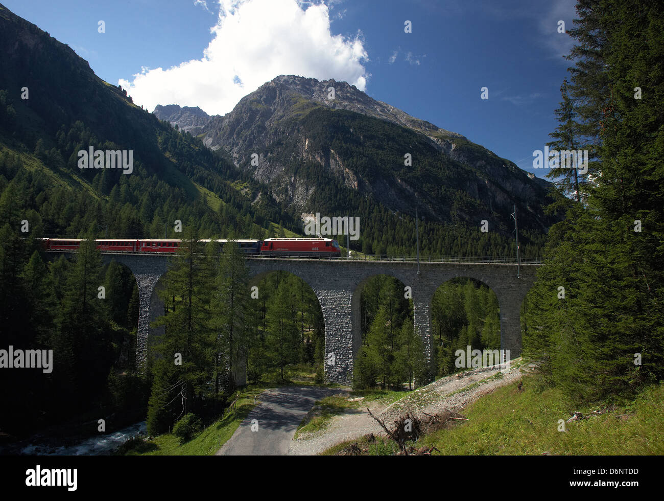 Albula line hi-res stock photography and images - Alamy
