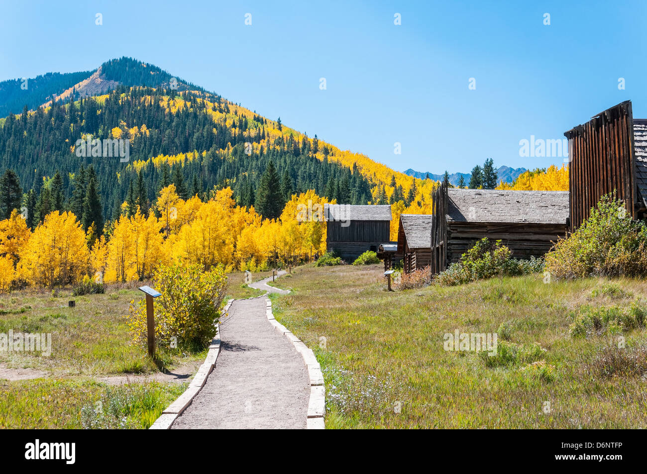 Buildings surrounded by autumn foliage, Ashcroft ghost town, Pitkin ...
