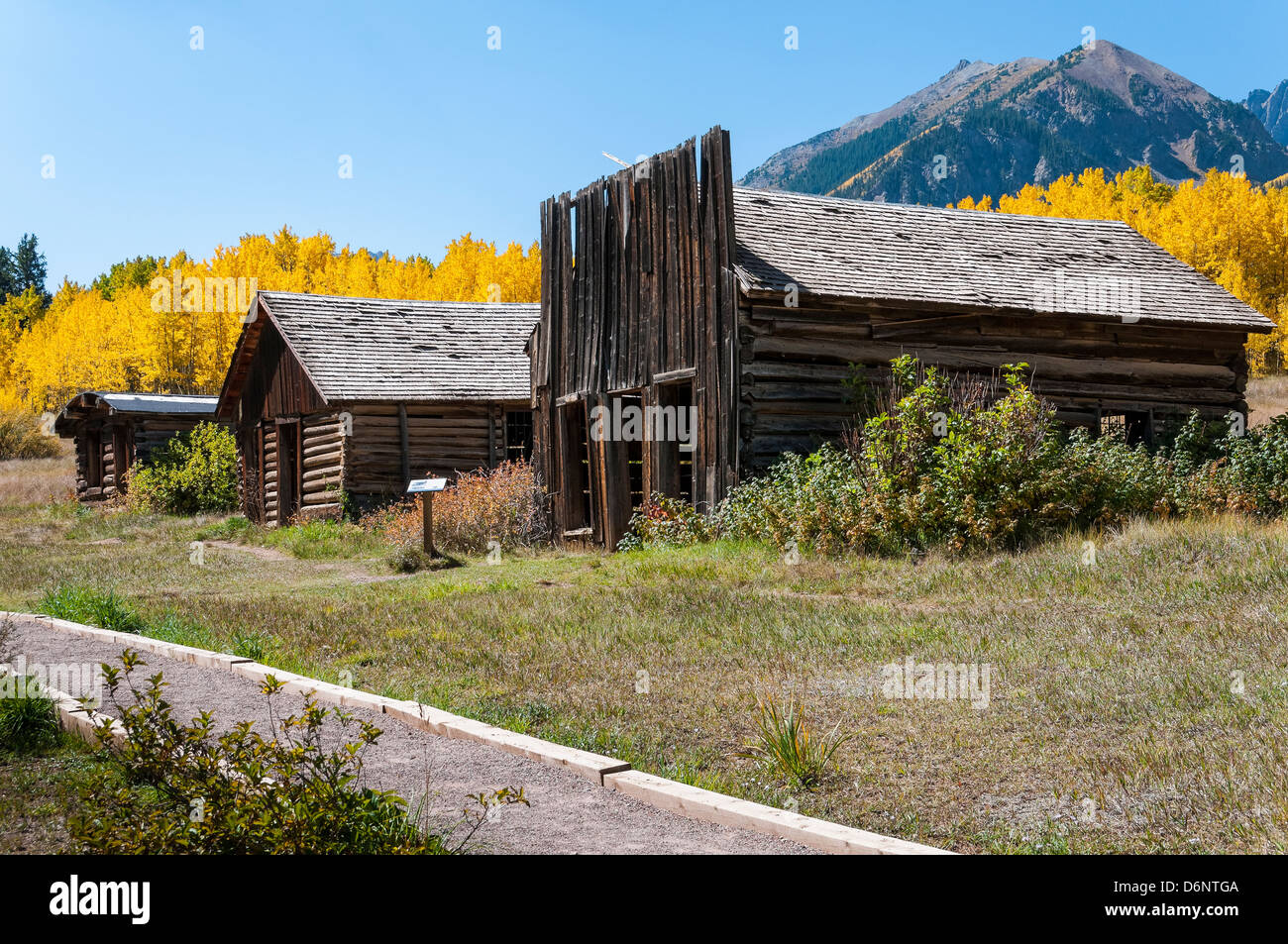 Buildings surrounded by autumn foliage, Ashcroft ghost town, Pitkin ...