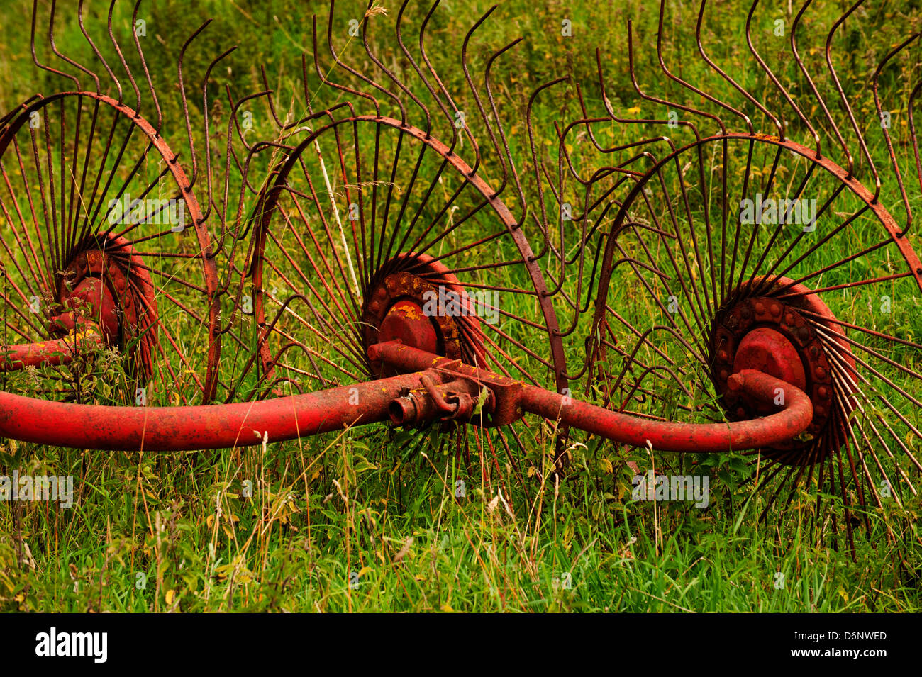 Detail of a red hay rake farm equipment in a green field Stock Photo ...