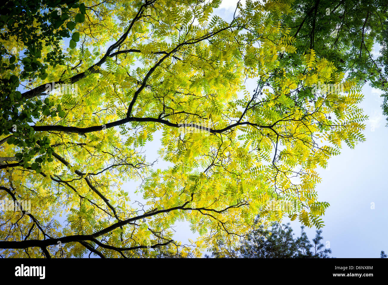 Botanic people pankow hi-res stock photography and images - Alamy