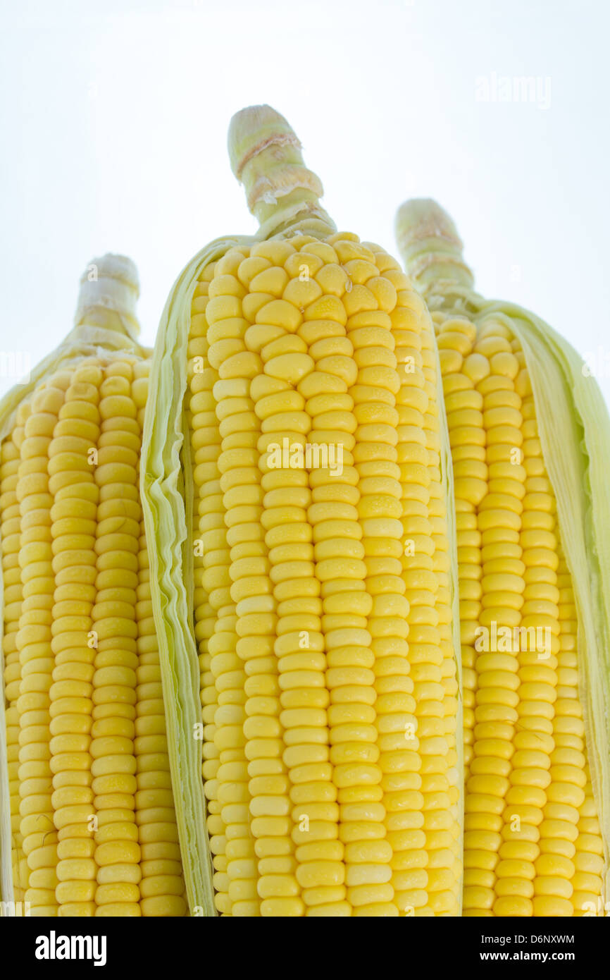 fresh corn fruits with green leaves Stock Photo - Alamy