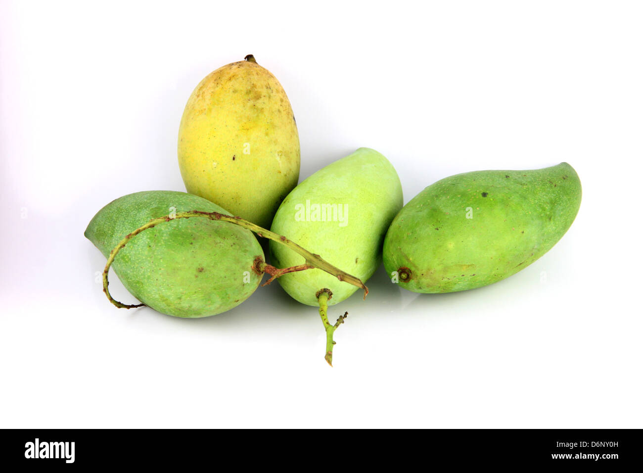 The Ripe mangoes are in the yellow color,on white Background Stock ...
