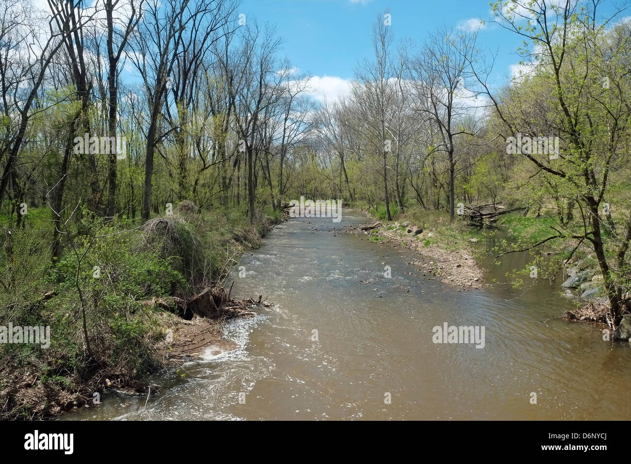 Brown water creek hi-res stock photography and images - Alamy